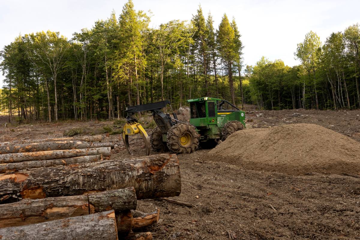 The Trump Administration Is Trying to Revoke the ‘Roadless Rule.’ The ...