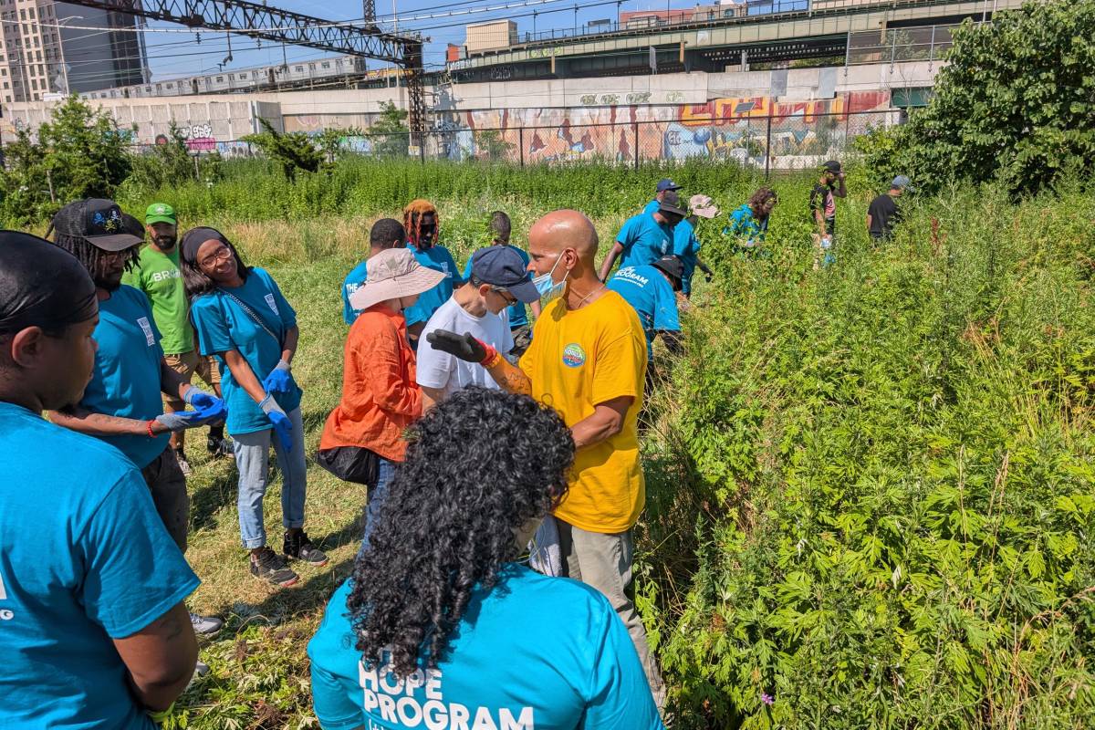 A South Bronx Park is a Hive of Activity—for Bees and for New Yorkers ...