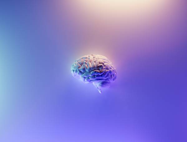 Climate Change is Altering Animal Brains and Behavior | Outrider